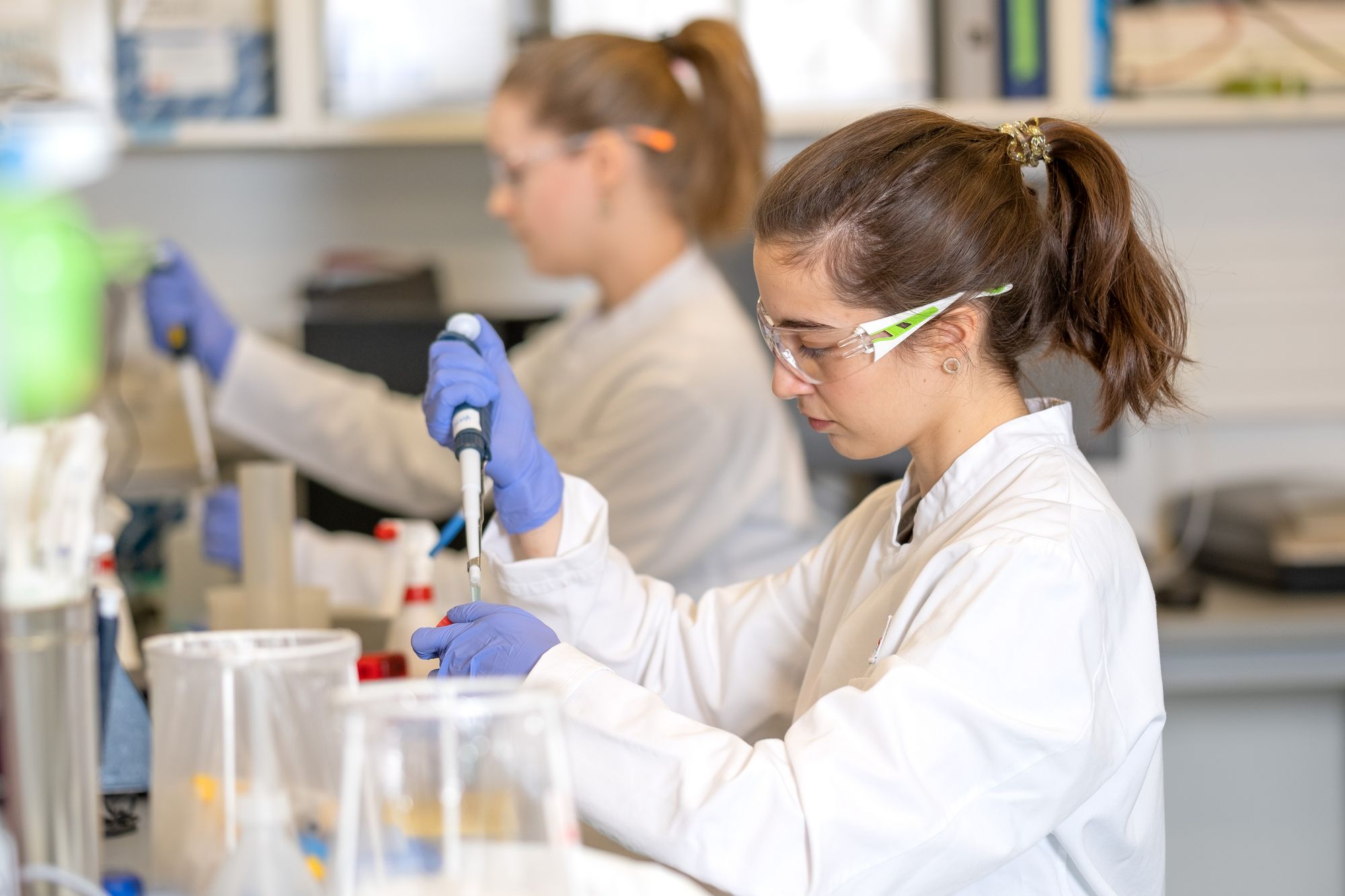 Master of Science in Infection Biology