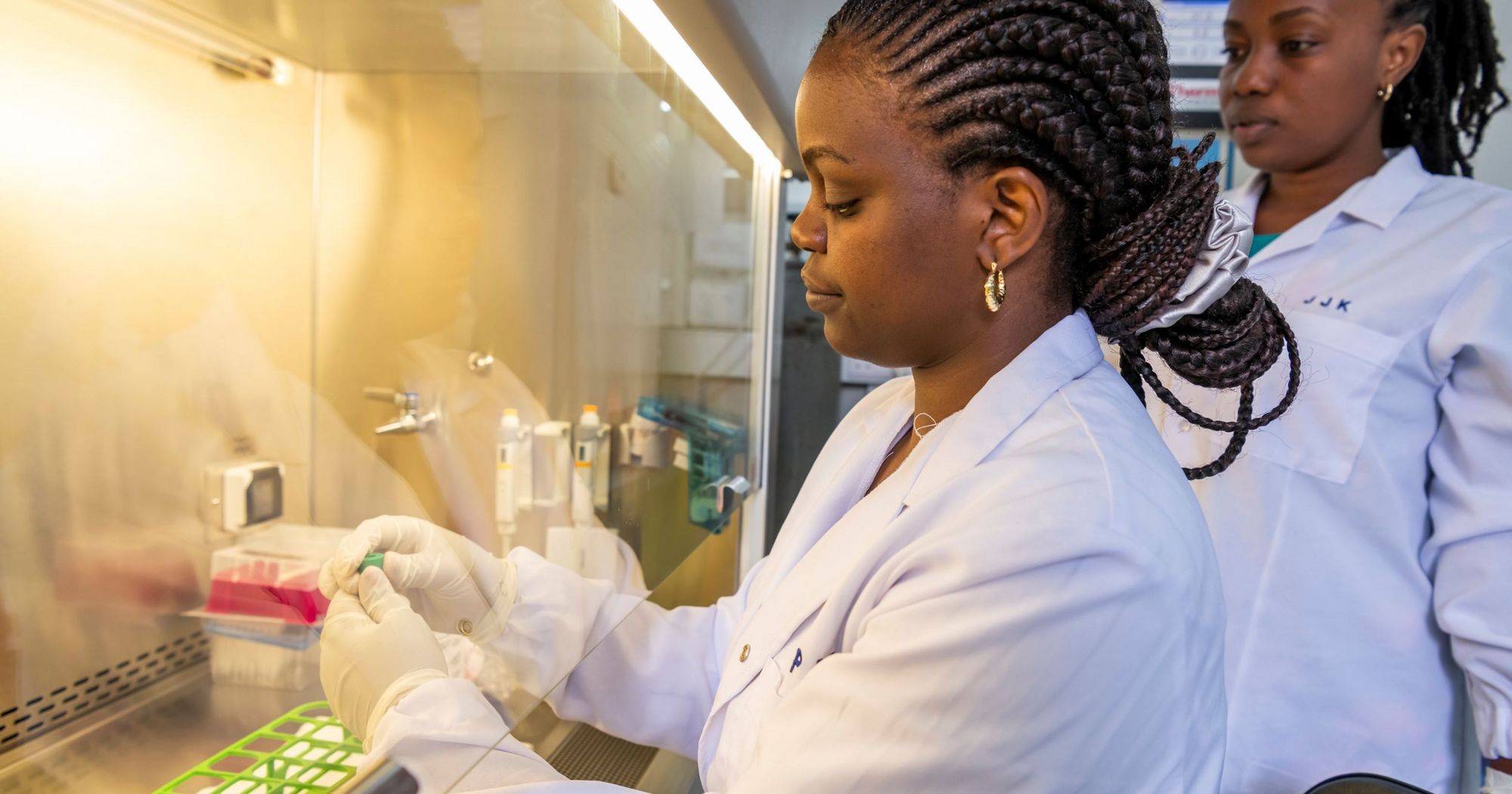 World Malaria Day 2024: Work together and accelerate the fight!