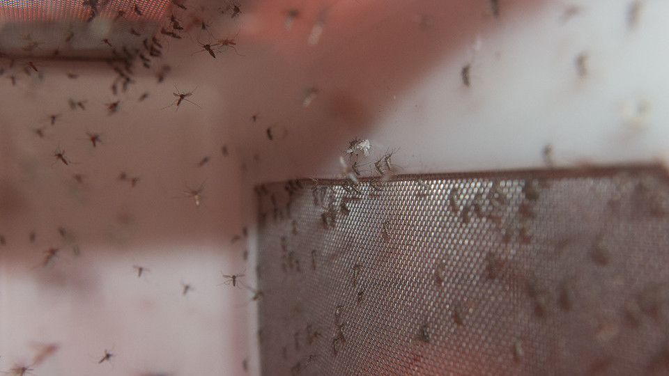 Vector Research and Control