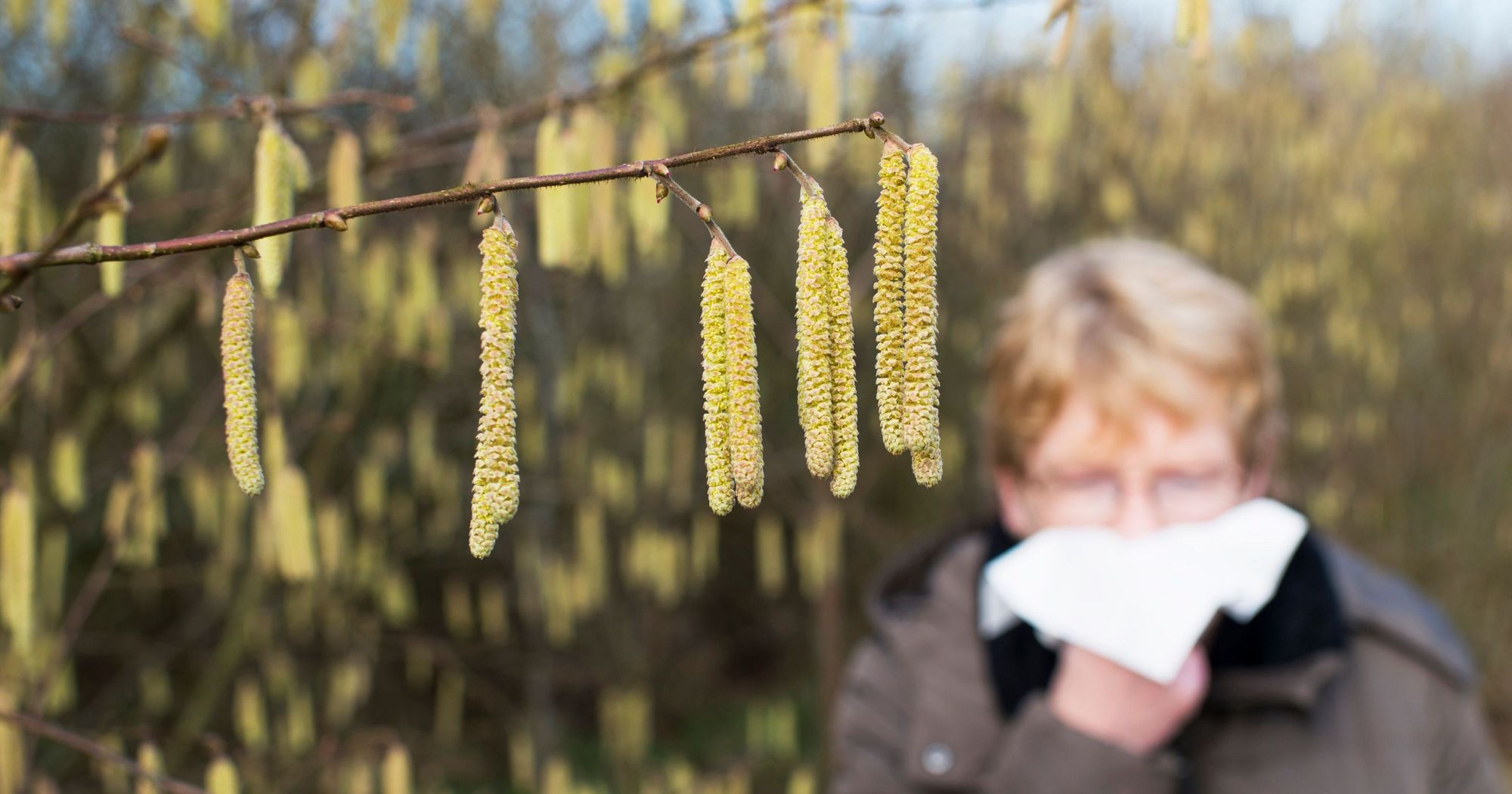 Hay Fever on the Increase Due to Climate Change