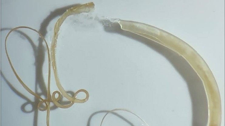 News_Detail