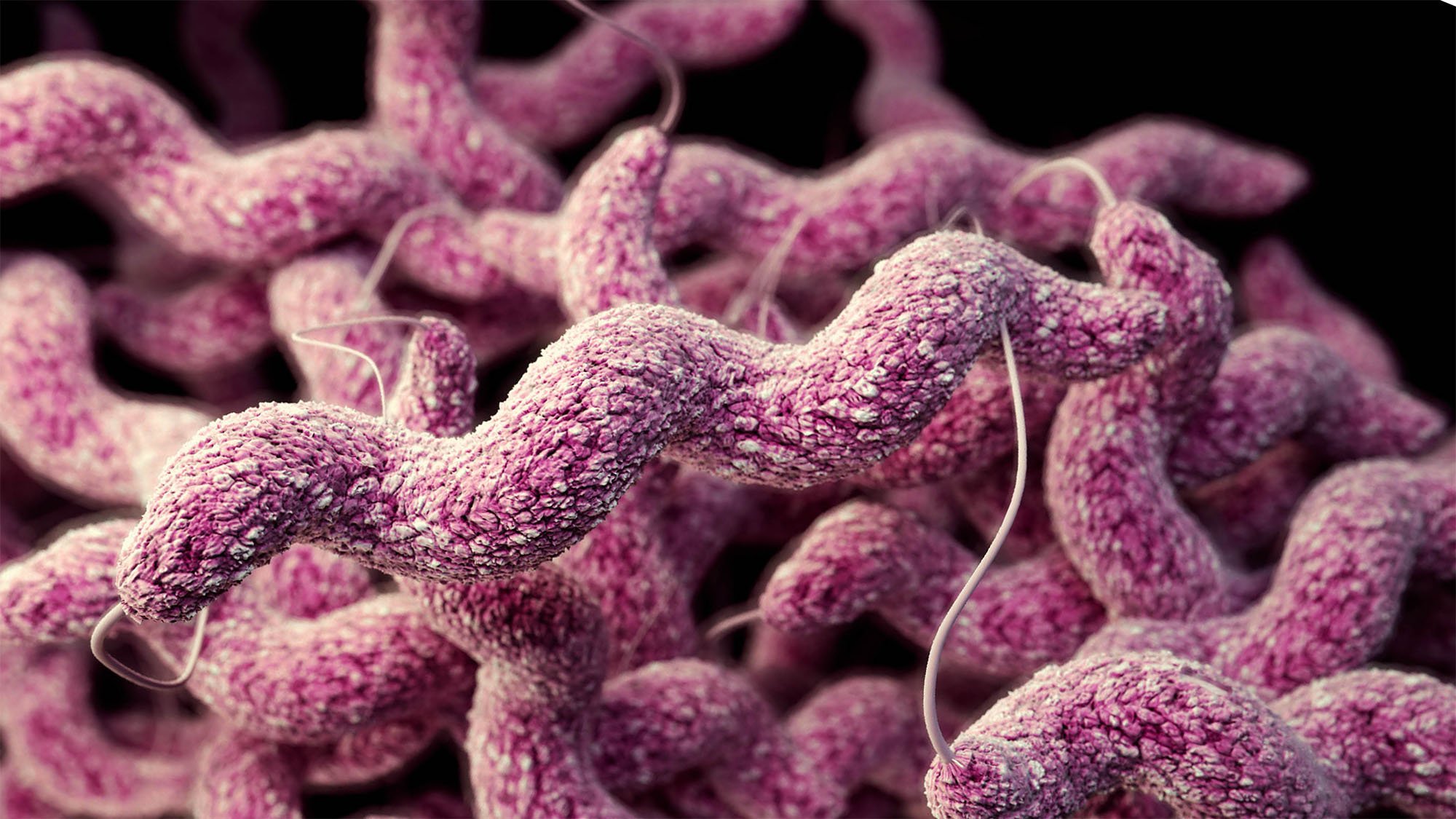 Gastrointestinal Illnesses Cost The Swiss Health Care Sector Up To EUR